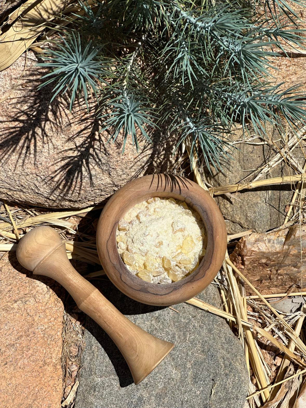 Pine Resin Rosin for DIY Beeswax Wraps – Jenny Joys Soap